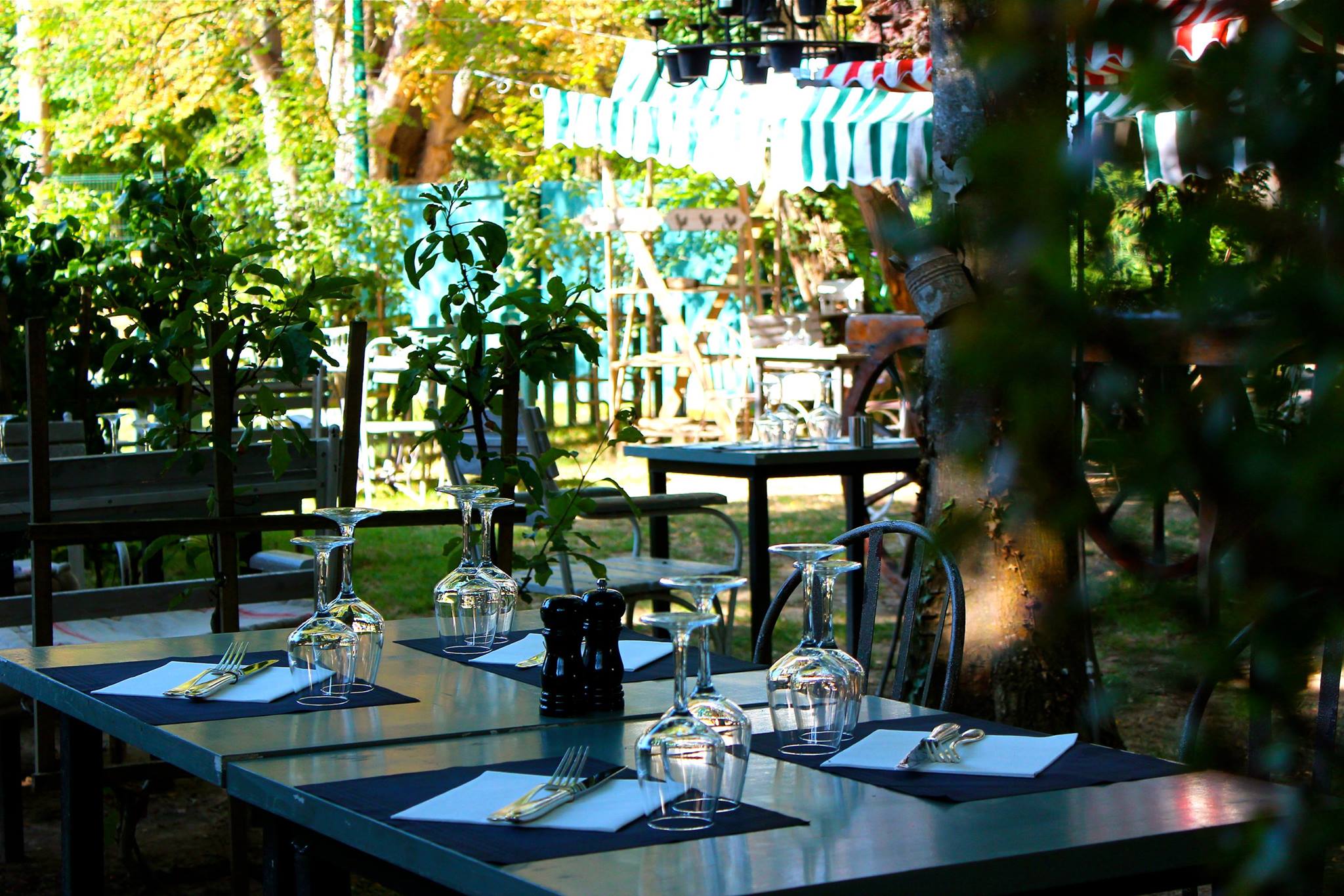 ACCUEIL - LE FRUIT DÉFENDU